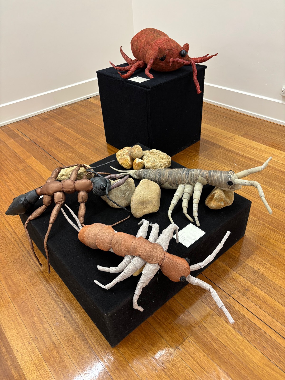 NEW EXHIBITIONS | Kyabram Town Hall Gallery